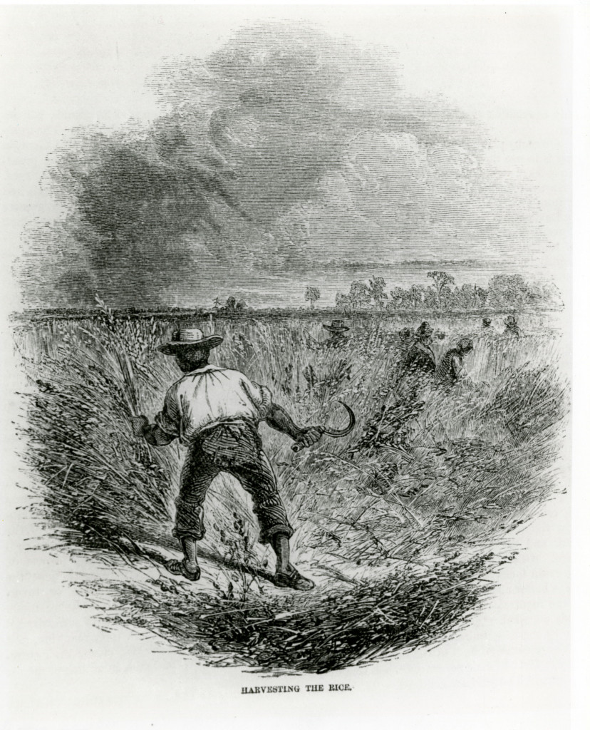 Plantation Economy - Georgia Historical Society